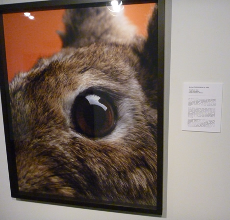 Billy Boy and Mia – Page 2 – I'm a slapdash sewing mum with geeky ...